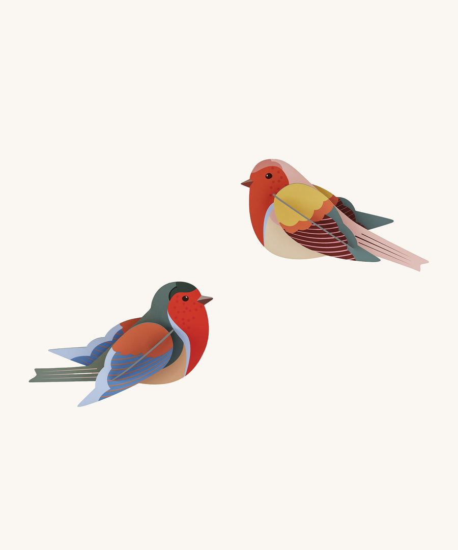 Studio Roof – Babipur