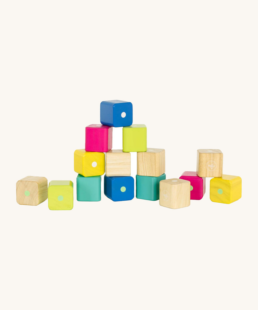 Baby's First Magnetic Building Blocks - 15 Piece Set | Tegu – Babipur